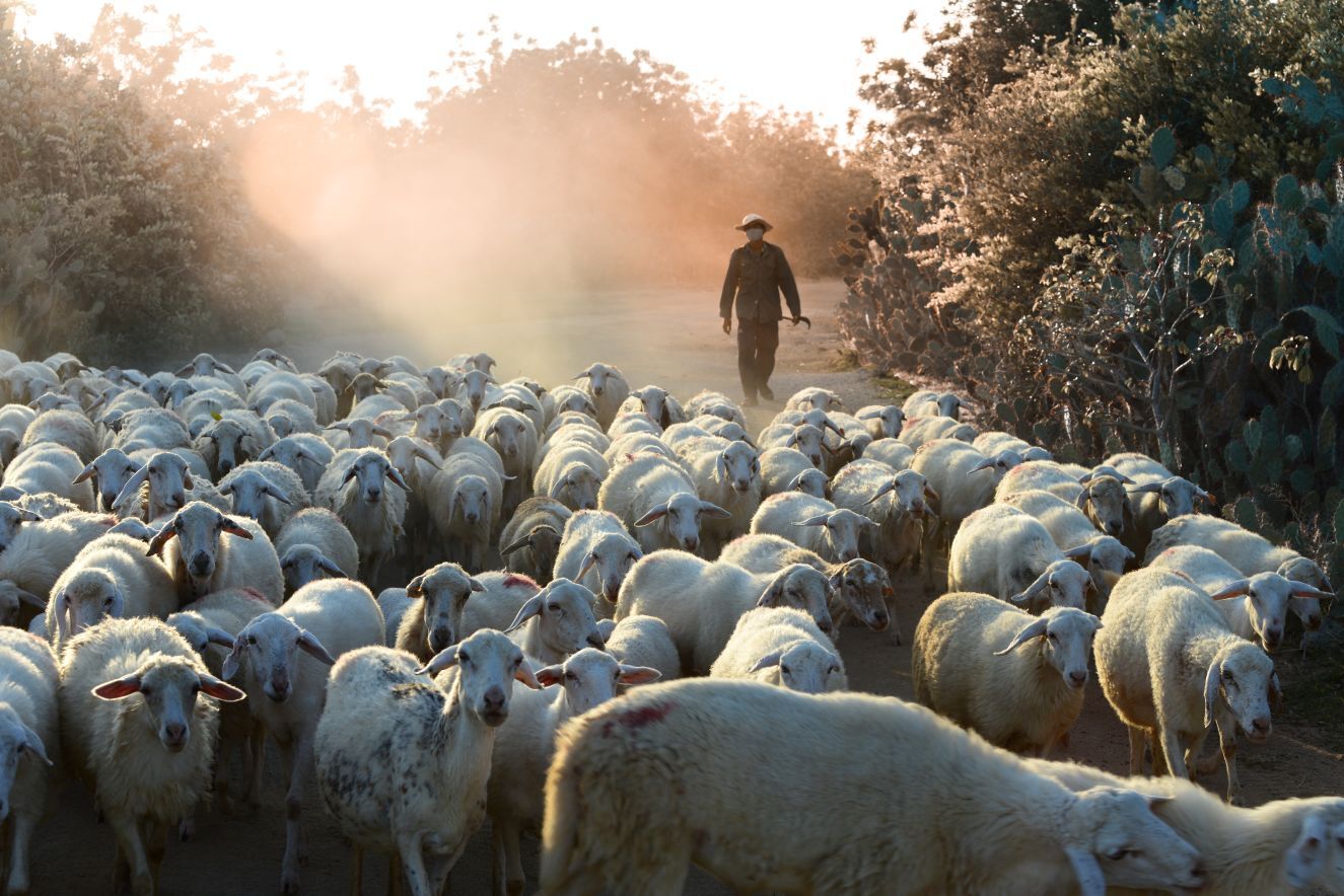 Welcome to Dallas Willard